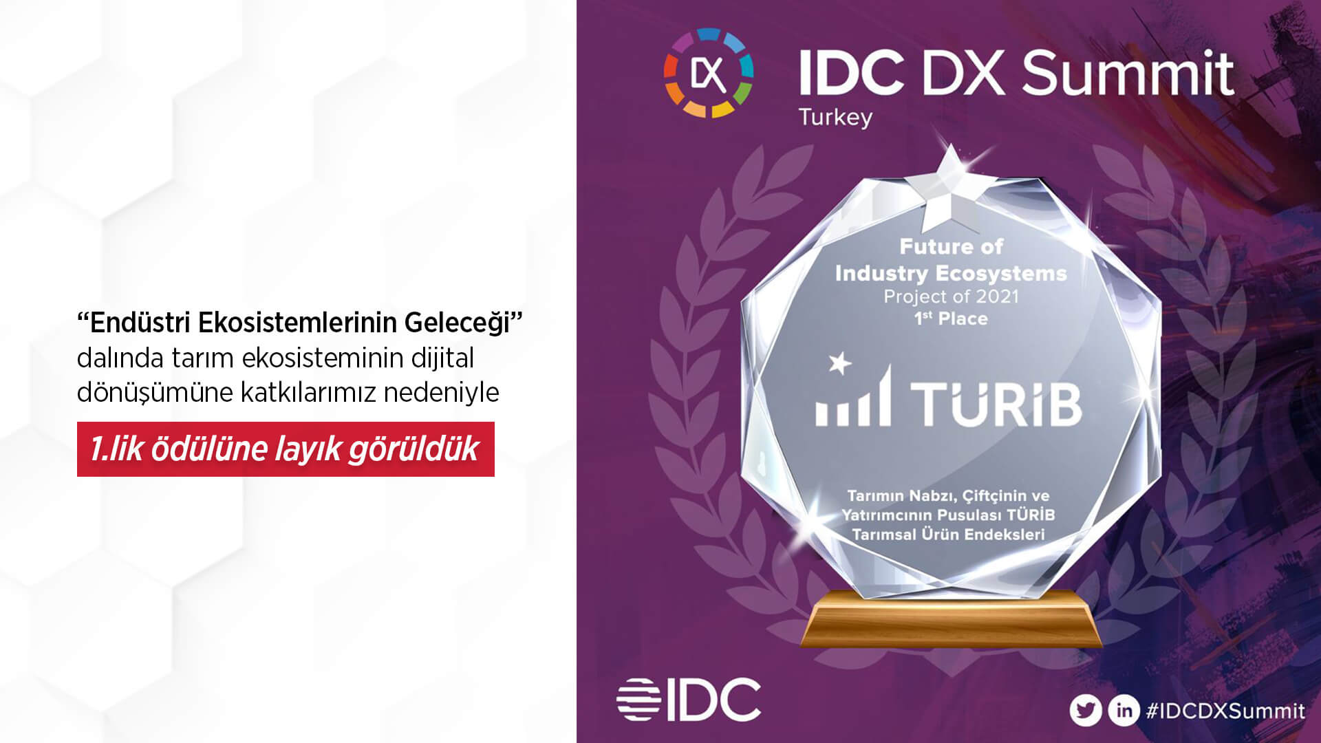 Turkish Mercantile Exchange Agricultural Commodity Indices Digital ...