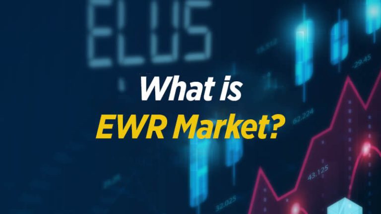 How Does the EWR Ecosystem Work? - Turkish Mercantile Exchange Inc.